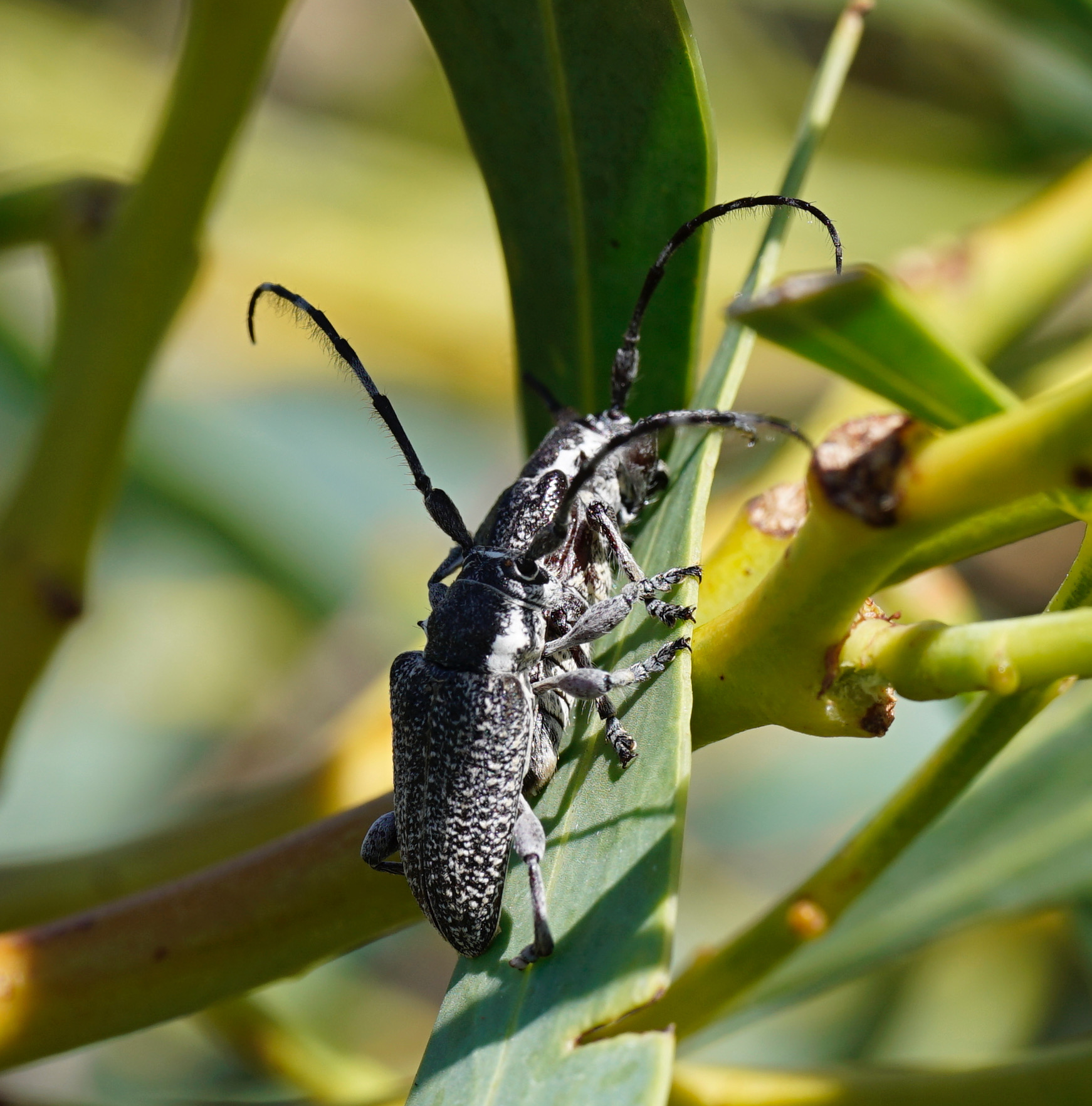 Southern Escape: The last day and the day after – photographyperthwa